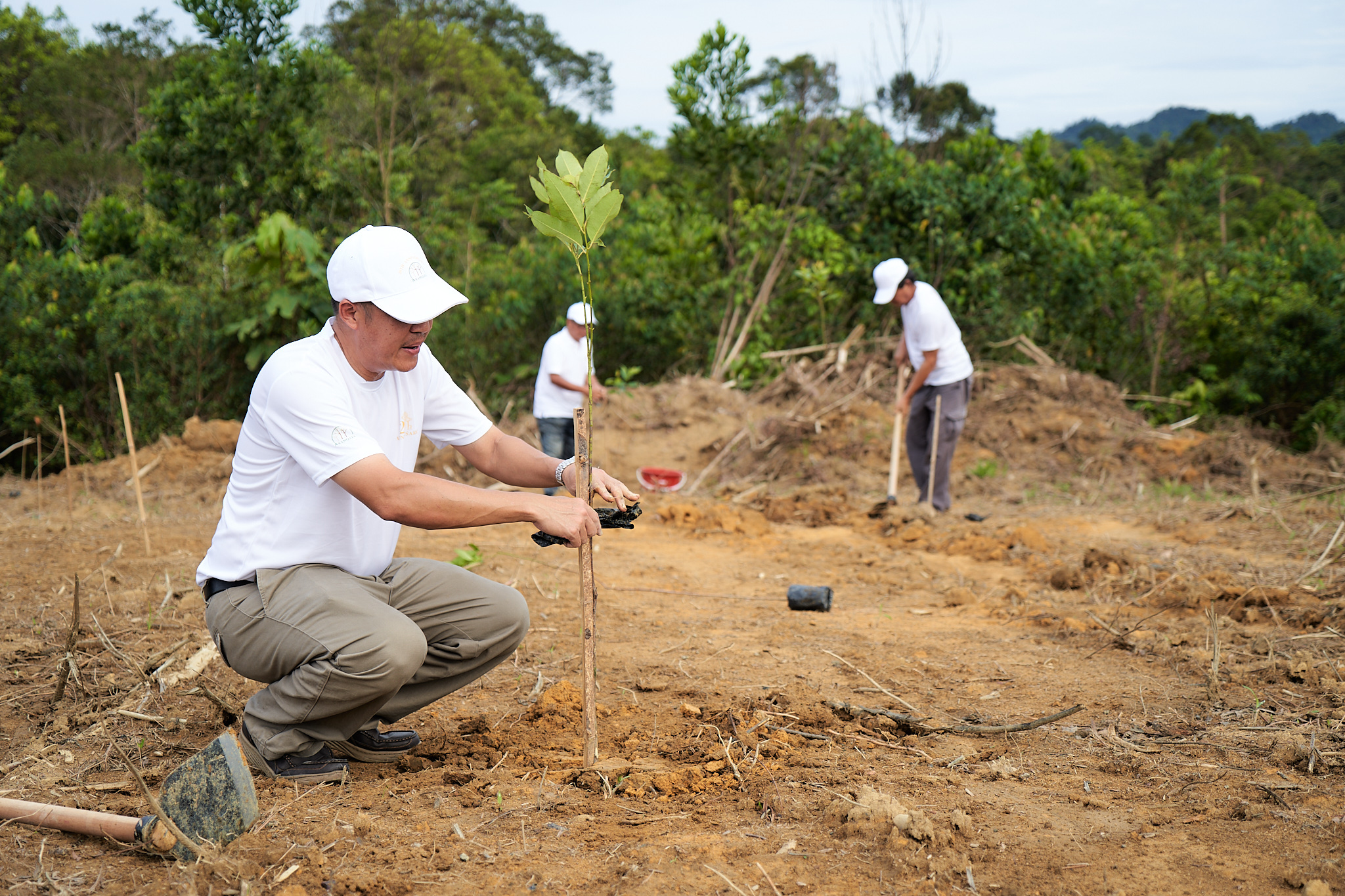 Tree Planting Day - 28th October 2022
